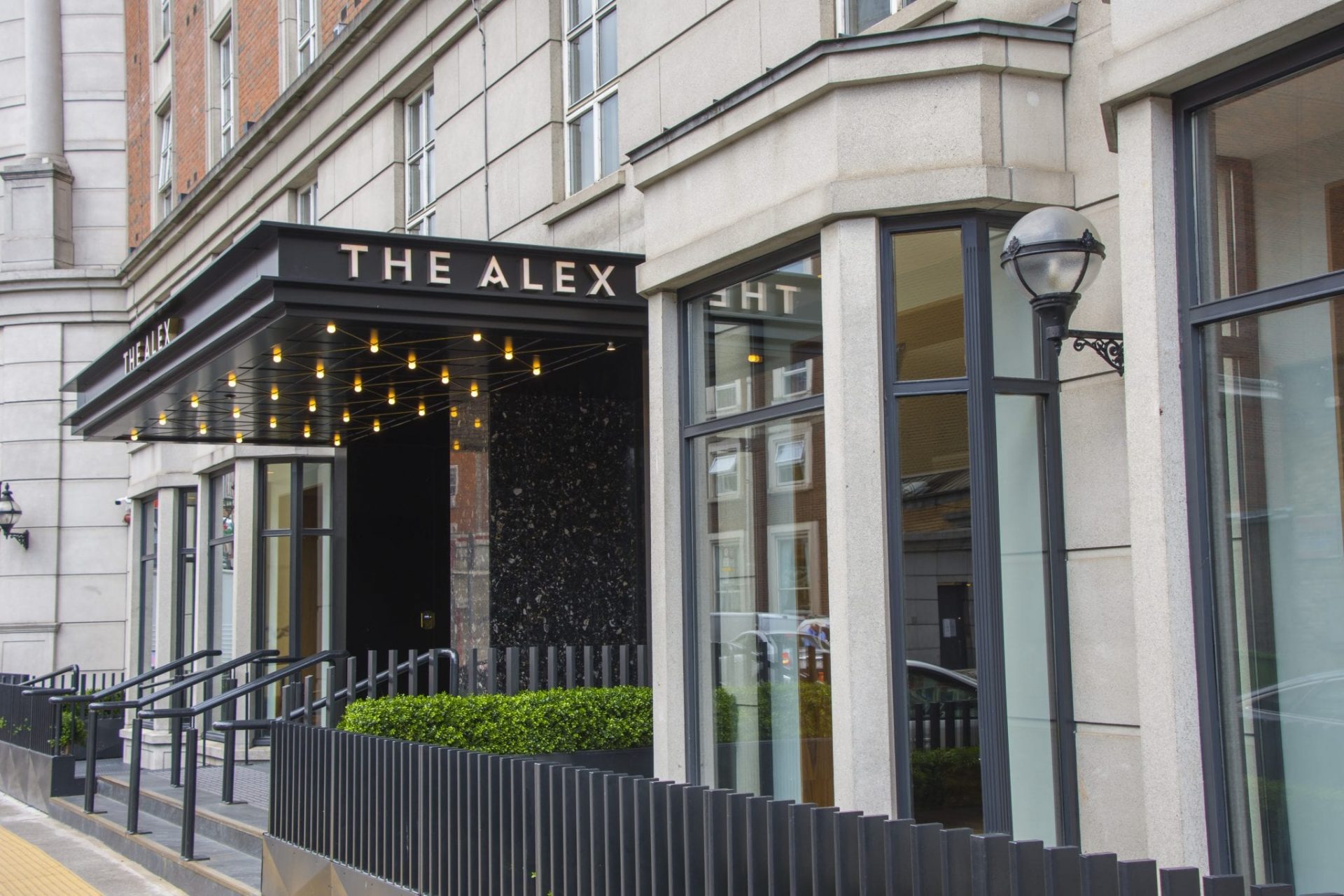 The Alex | O'Callaghan Collection